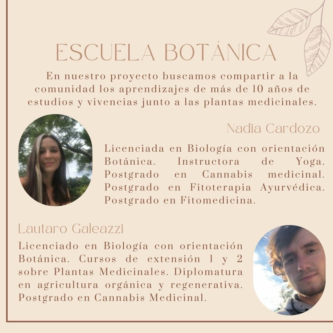 Formación en MEDICINA BOTÁNICA | Siembra Natural