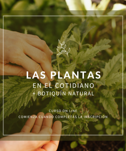 MEDICINA BOTÁNICA – Curso virtual | Siembra Natural