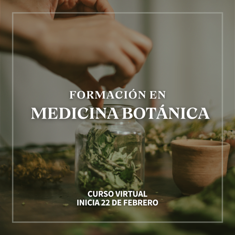 Formación en MEDICINA BOTÁNICA - Curso virtual - Siembra Natural